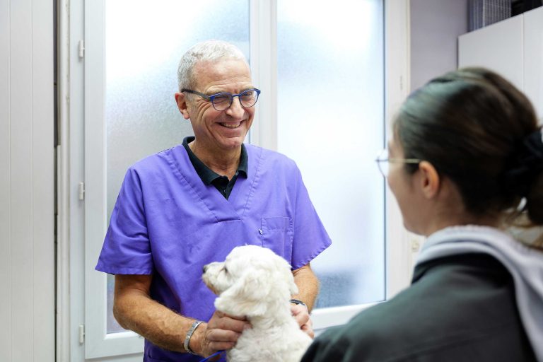 Découvrez les avantages chez Mon Véto